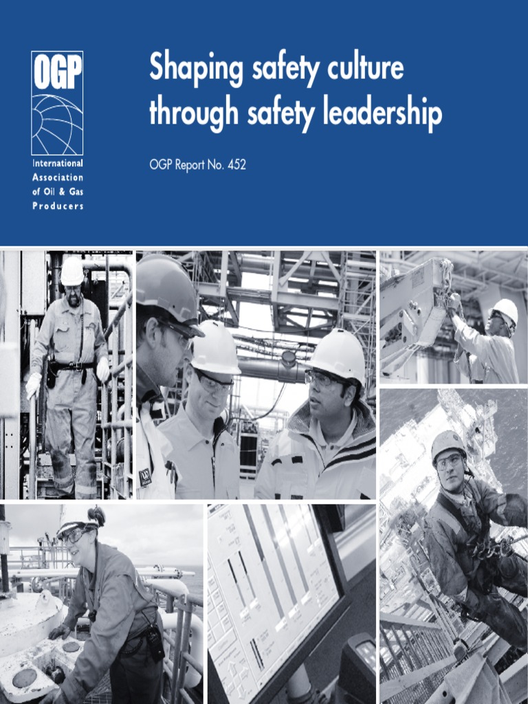Shaping Safety Culture PDF | PDF | Business