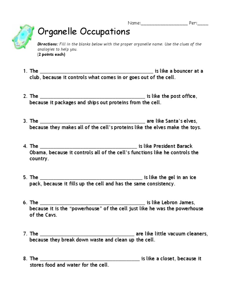Cell Organelle Quiz | PDF | Career & Growth | Language Arts & Discipline