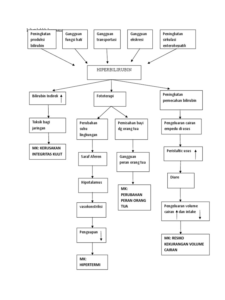 Pathway Hiper Bilirubin Fixx | PDF
