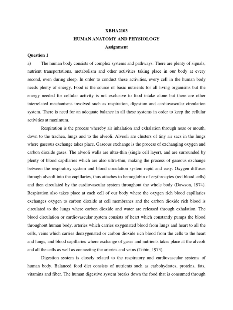 Anatomy Assignment | PDF | Coronary Artery Disease | White Blood Cell