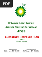 Emergency Response Plan-Flowcharts | PDF | Emergency | First Aid