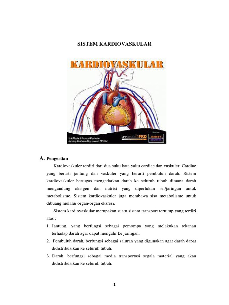 Biomedik Sistem Kardiovaskuler | PDF