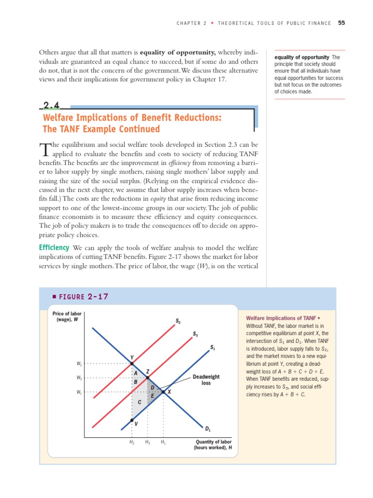 Welfare Implications of Benefit Reductions: The TANF Example Continued ...