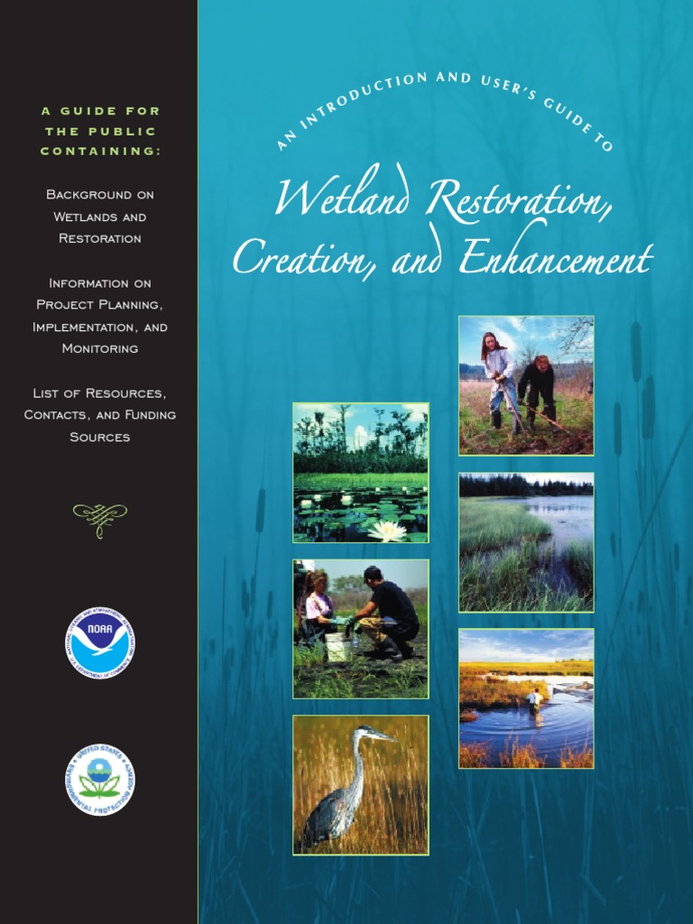 Pub Wetlands Restore Guide | PDF | Marsh | Wetland