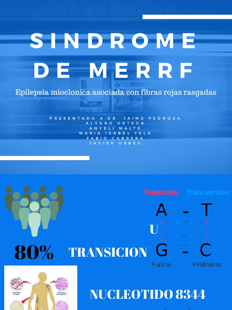 Sindrome de Merrf | PDF | Relaciones personales, crianza y desarrollo ...