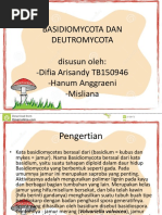 Klasifikasi Basiodiomycota Dan Deuteromycota | PDF