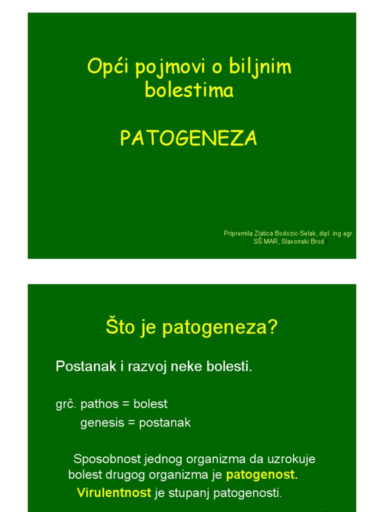 Patogeneza PDF | PDF