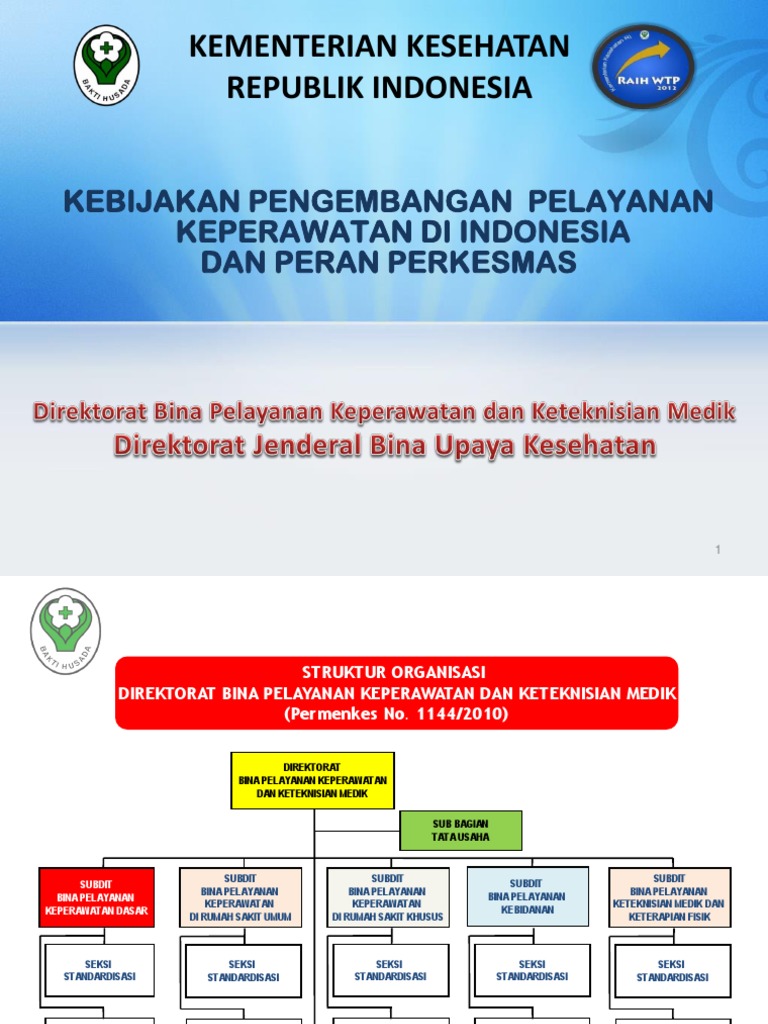 Kebijakan Perkesmas | PDF