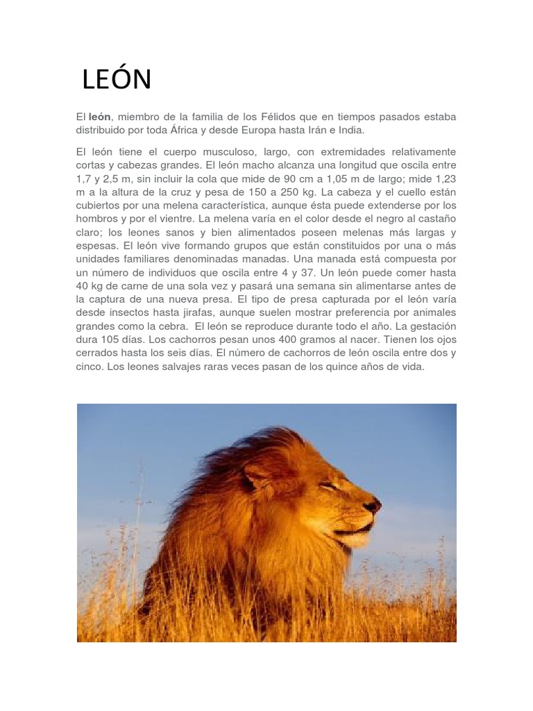 Descripción Del León | PDF | León | Organismos