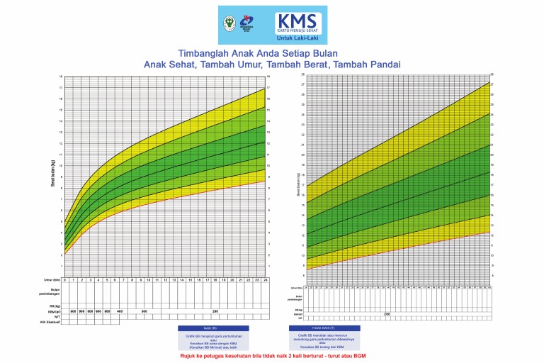 KMS Balita Laki-Laki | PDF