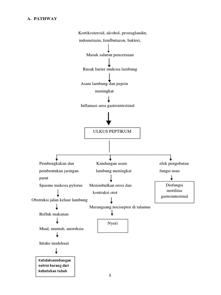 PATHWAY | PDF | Kesehatan Holistik