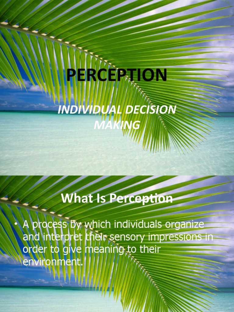 Perception: Individual Decision Making | PDF | Decision Making | Bias