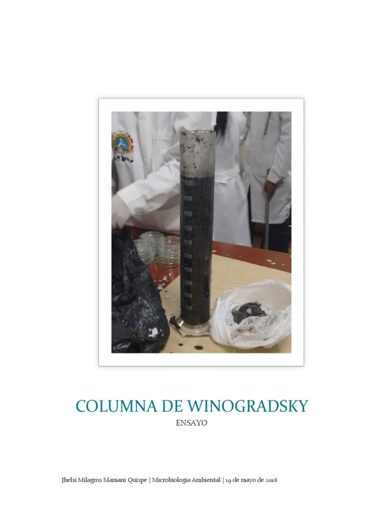 Columna de Winogradsky: Estudio Microbiano | PDF | Microbiología | Las ...
