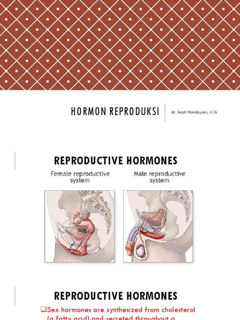 Hormon Reproduksi: Dr. Septi Handayani, M.Si | PDF | Menstrual Cycle ...