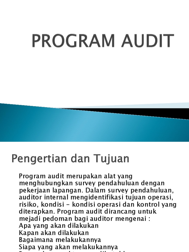 Program Audit | PDF