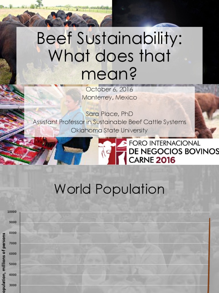 Beef Sustainability | PDF | Greenhouse Gas | Carbon Dioxide