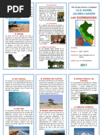 Región Rupa Rupa | PDF | Earth Sciences | Conservación