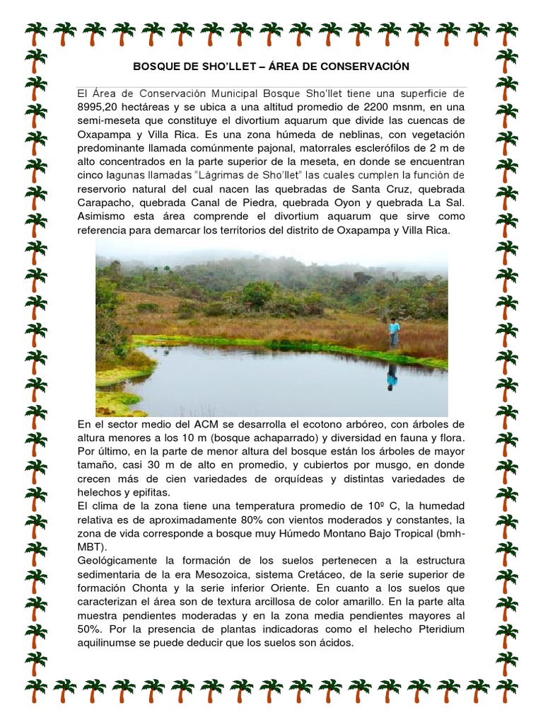Bosque de Sho’llet: Conservación y Biodiversidad | PDF | Los bosques ...