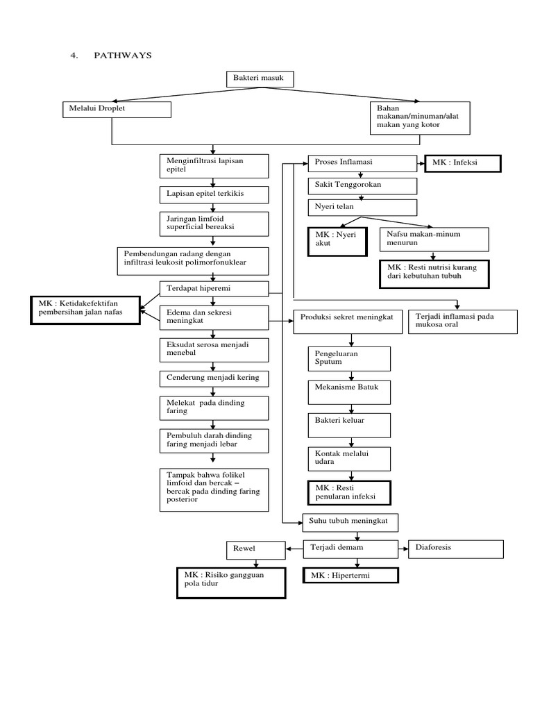 Pathways Faringitis | PDF
