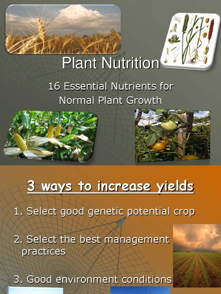 Plant Nutrition: 16 Essential Nutrients For Normal Plant Growth | PDF ...