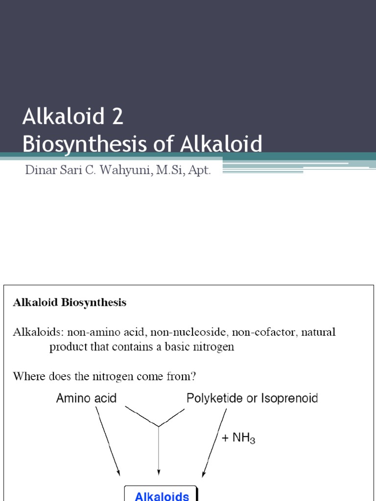 Alkaloid 2 Biosynthesis of Alkaloid: Dinar Sari C. Wahyuni, M.Si, Apt | PDF