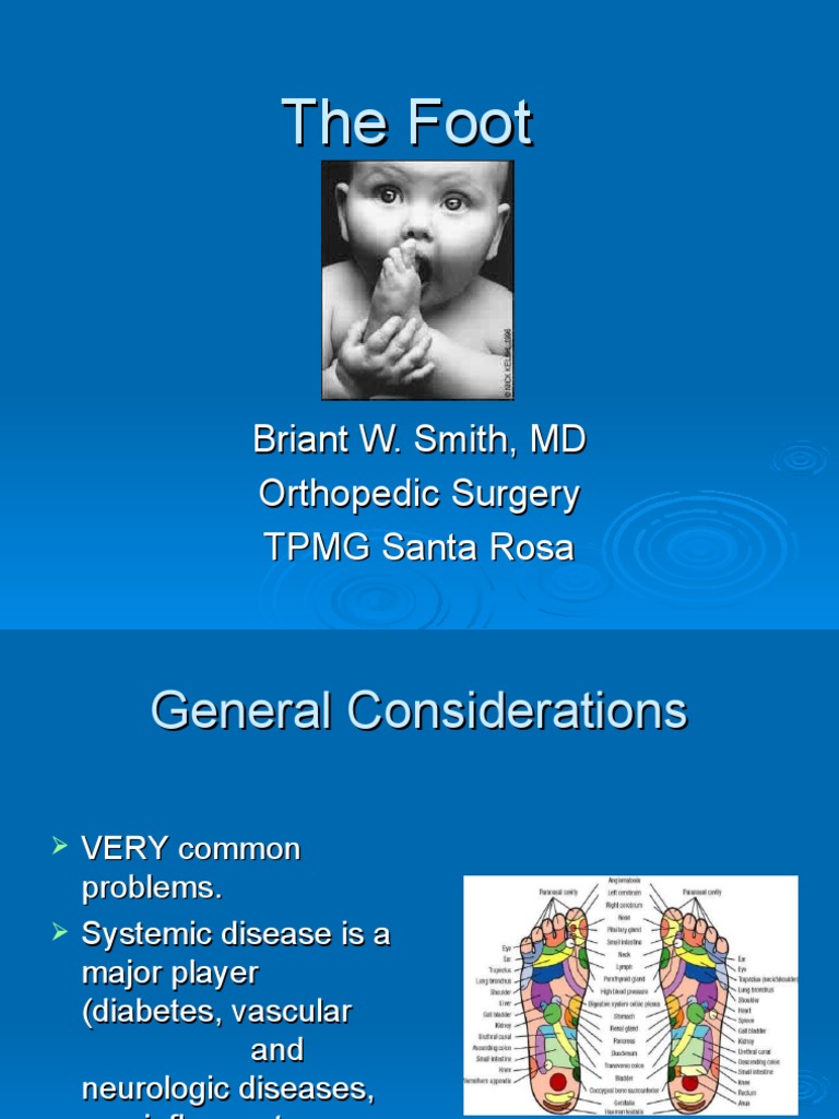 Feet | PDF | Foot | Toe