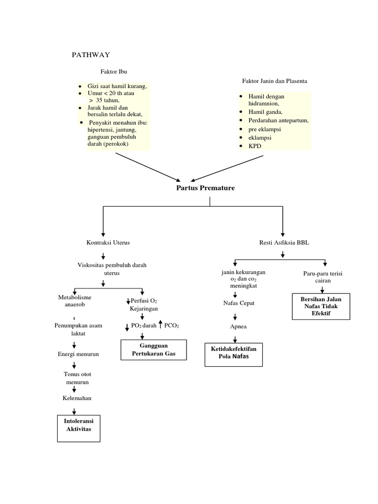 PATHWAY Partus Prematus | PDF