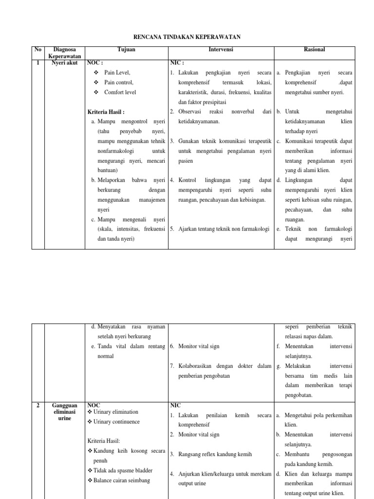 Rencana Tindakan Keperawatan Vesikolithiasis | PDF