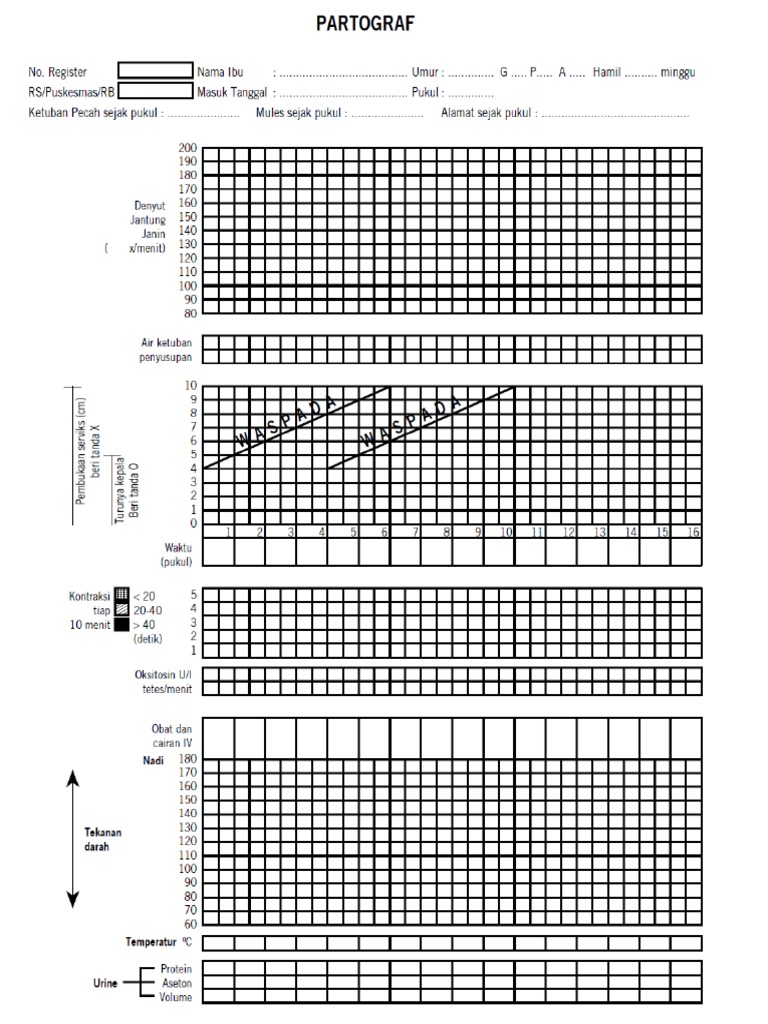 Partograf Print | PDF