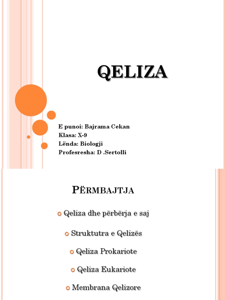 QELIZA | PDF