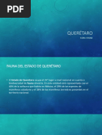 Fauna Diversa de Michoacán | PDF | Mamíferos | Zoología