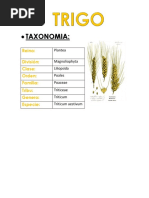 Listado de Nombres Cintíficos de Las Principales Plantas Cultivadas ...