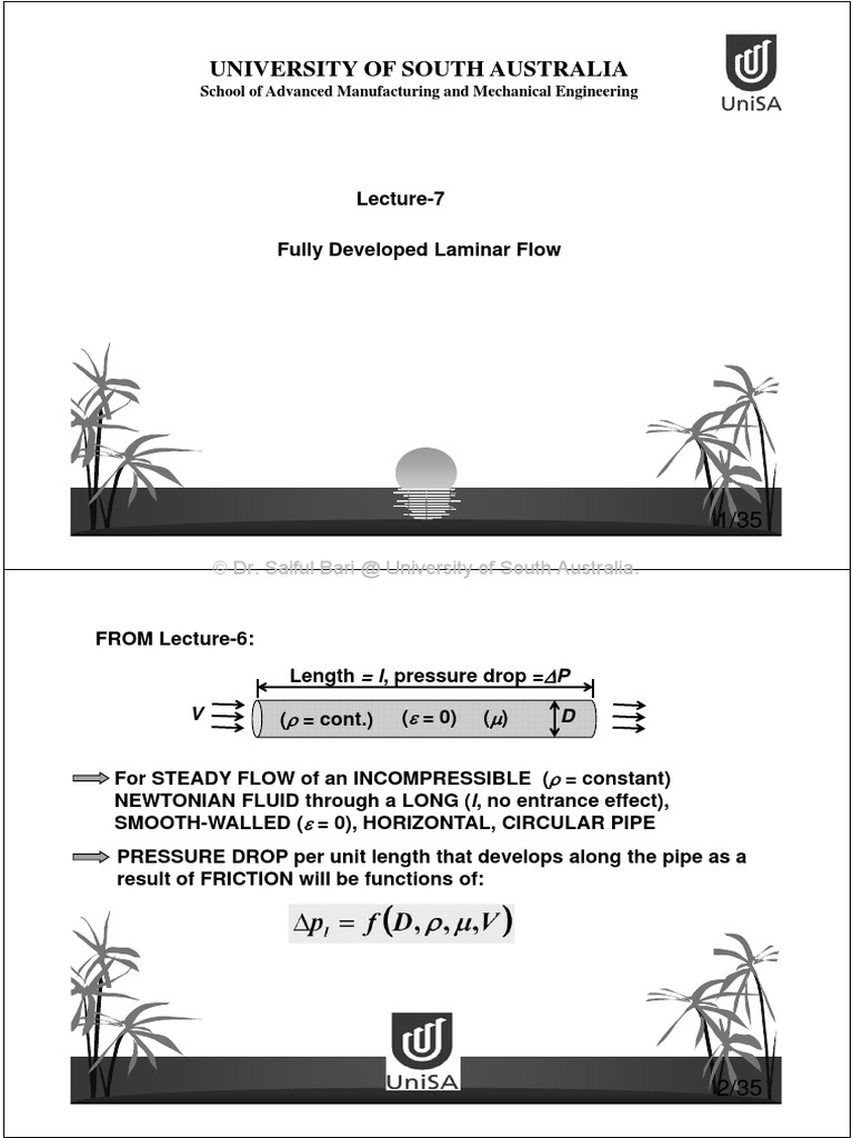 Lecture_7 | PDF | Fluid Dynamics | Reynolds Number