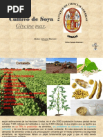 Guía de Cultivo de Veza Común | PDF | Siembra | Agricultura