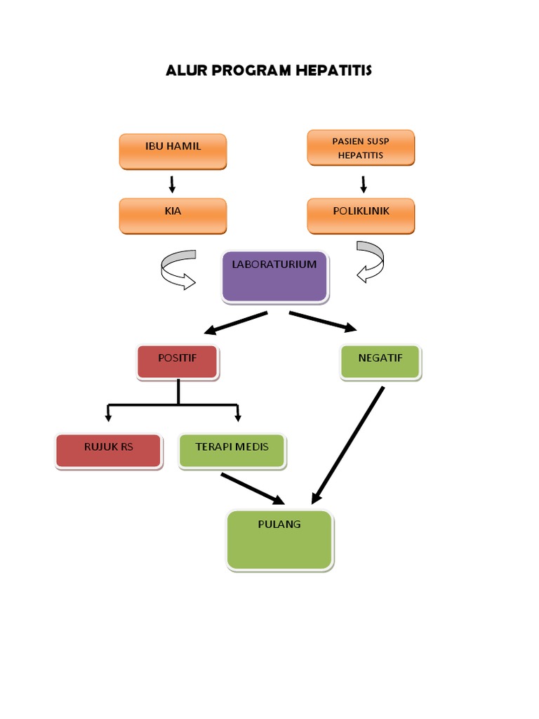 Alur Program Hepatitis | PDF | Wellness | Medical