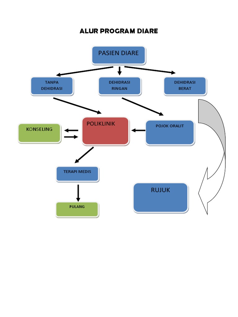 Alur Program Diare | PDF