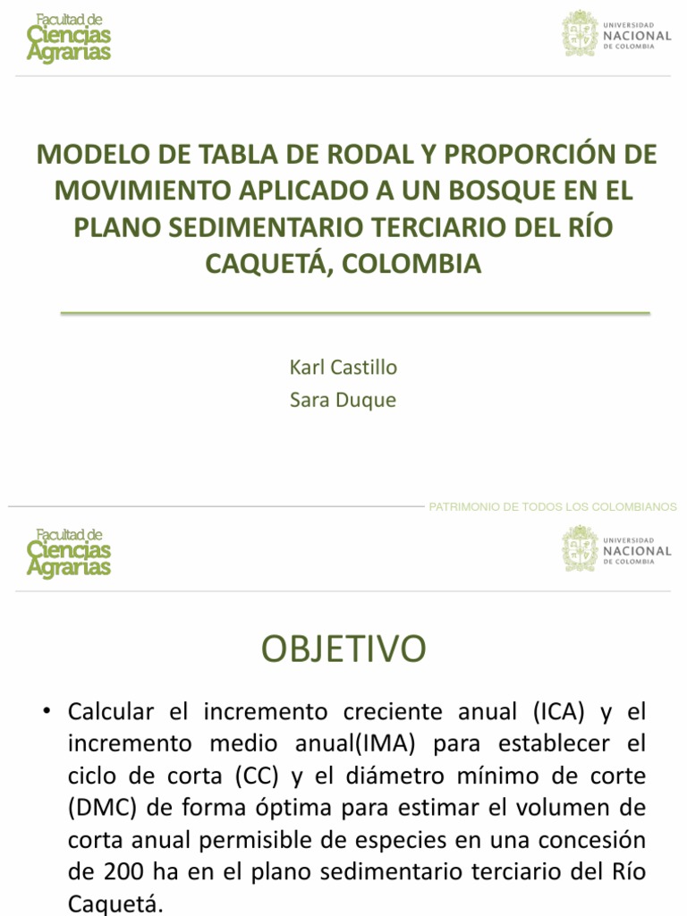 Presentación Modelo de Rodal | PDF | Selva amazónica | Colombia