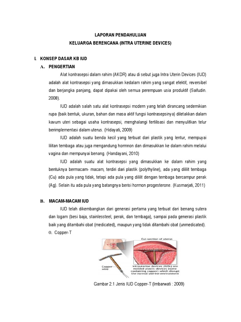 Lp-Kb-Iud Fix | PDF | Pengembangan Diri