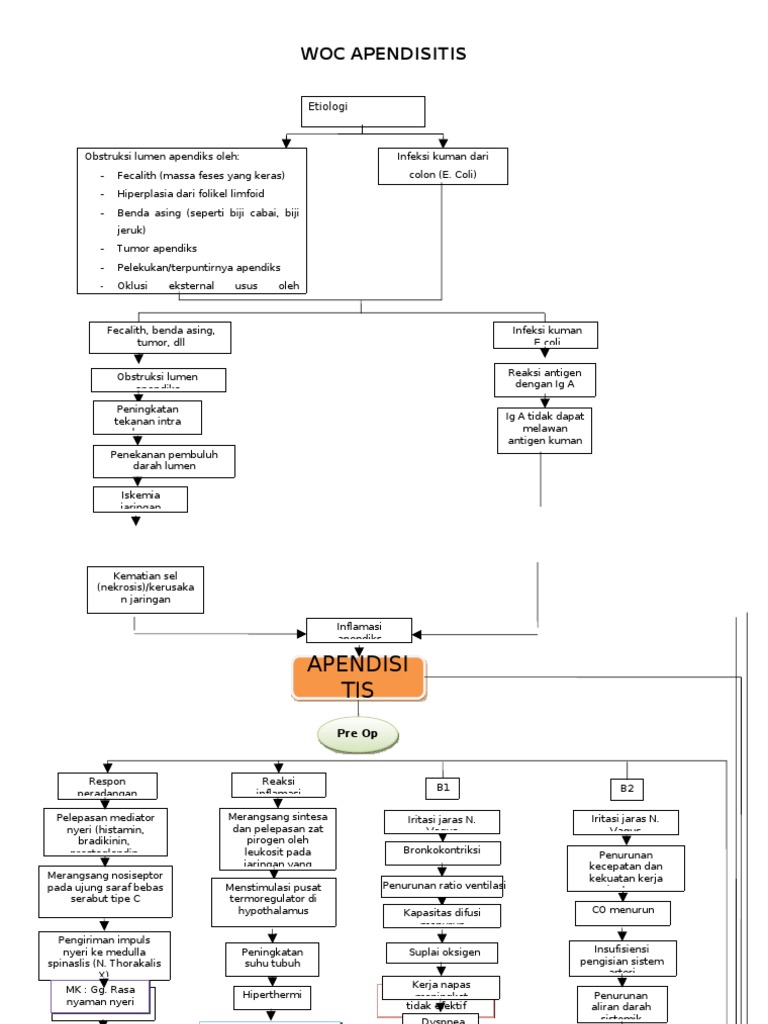 Woc Apendisitis PDF | PDF