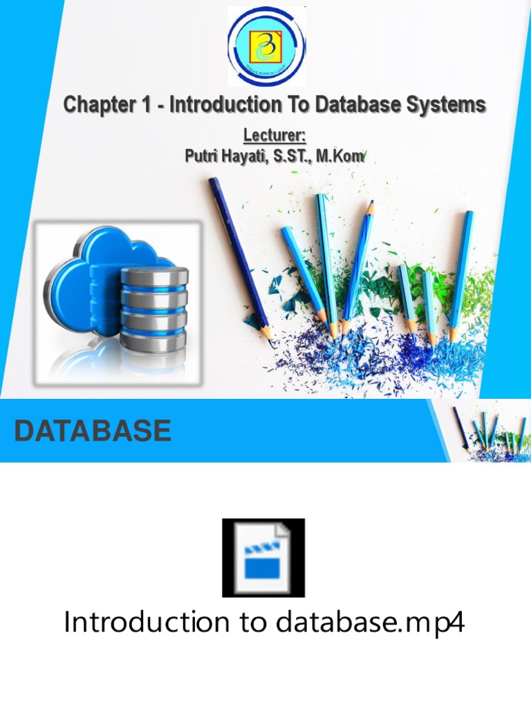 Chapter 1 - Introduction To Database Systems | PDF | Metadata | Databases