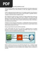 ¿Qué Es La Pasta Base? | PDF | Cocaína