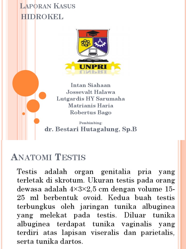 Hidrokel | PDF | Sains & Matematika