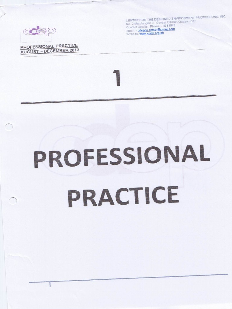 01 Professional Practice | PDF