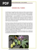 Sacha Culantro | PDF | Hierbas y especias | Alimentos