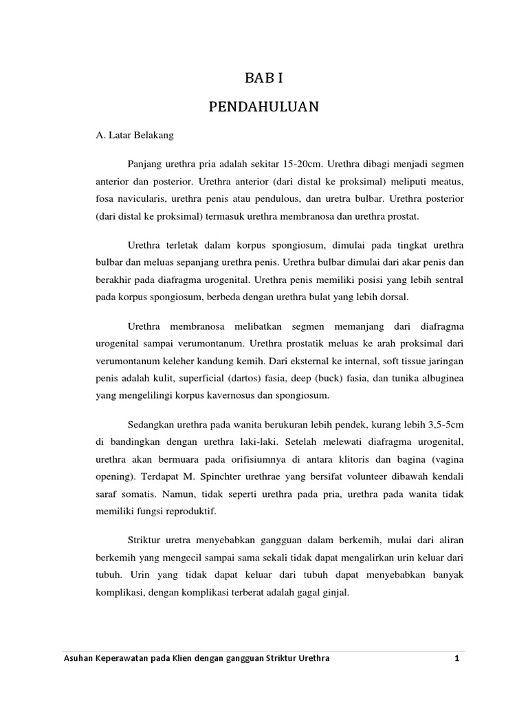 Striktur Uretra | PDF