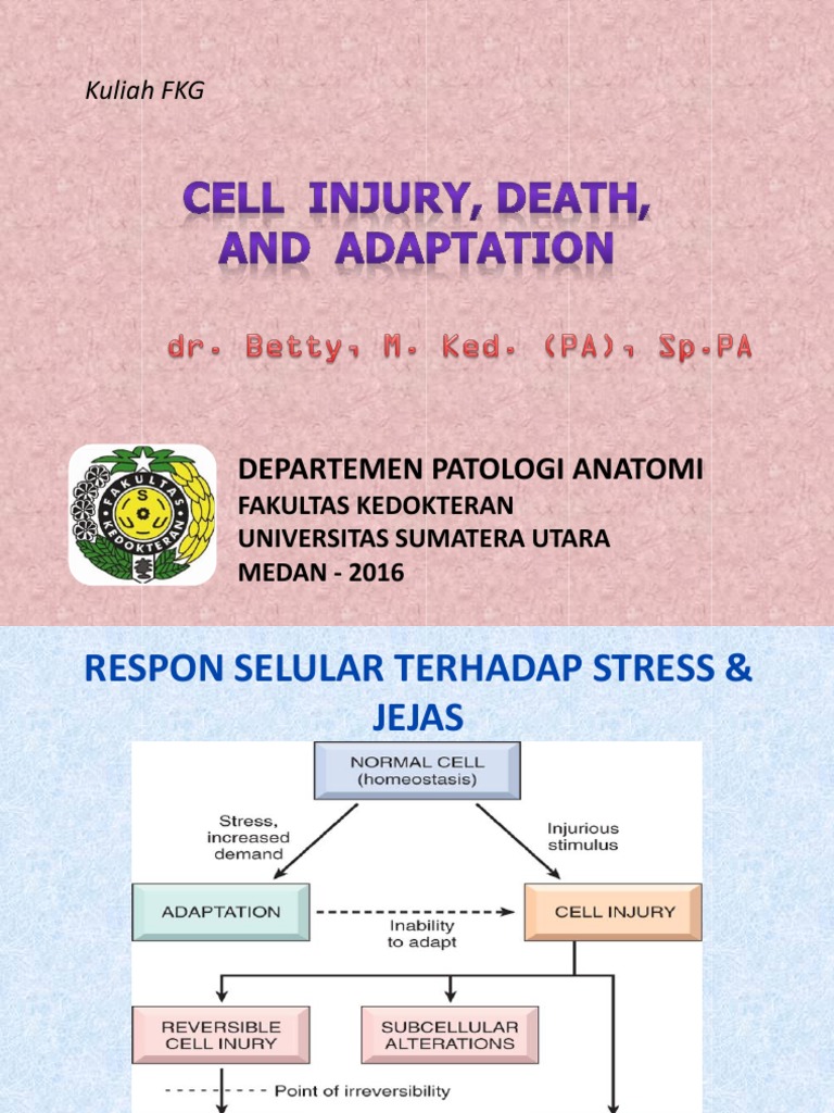 Cell Injury (FKG, Juni 2016) | PDF | Necrosis | Apoptosis