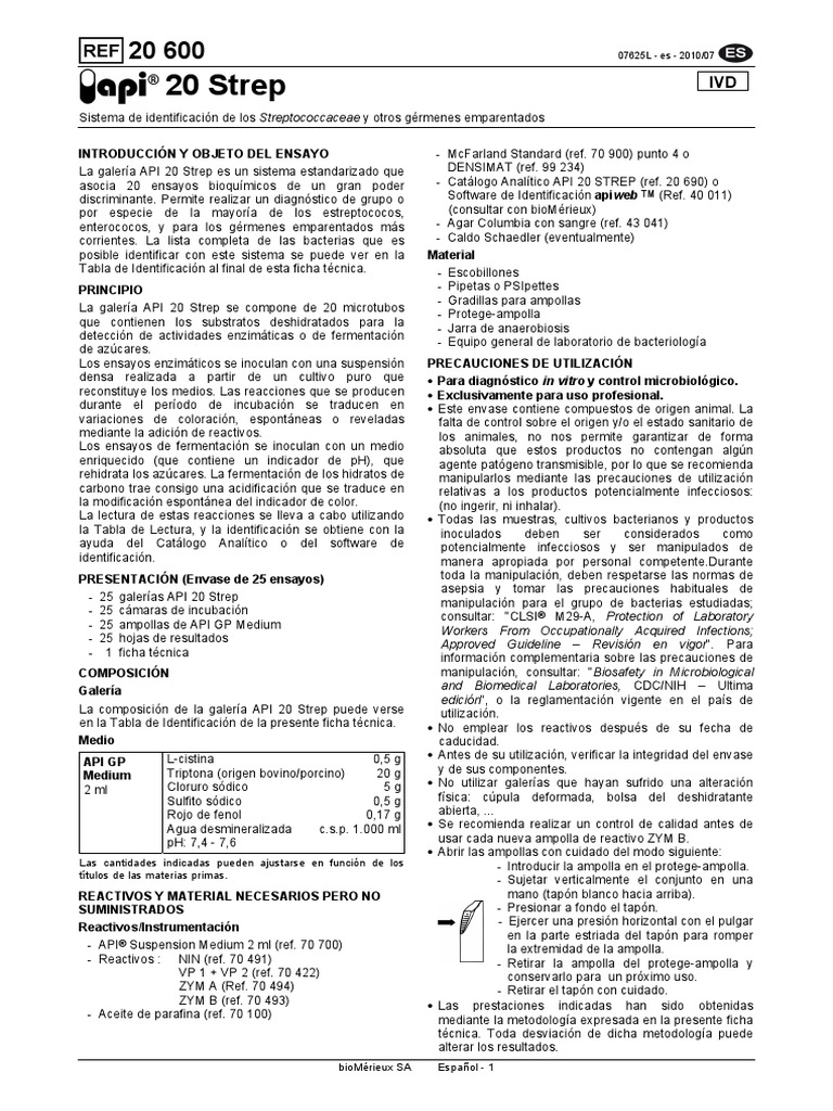 Strep | PDF | Las bacterias | Salud y bienestar