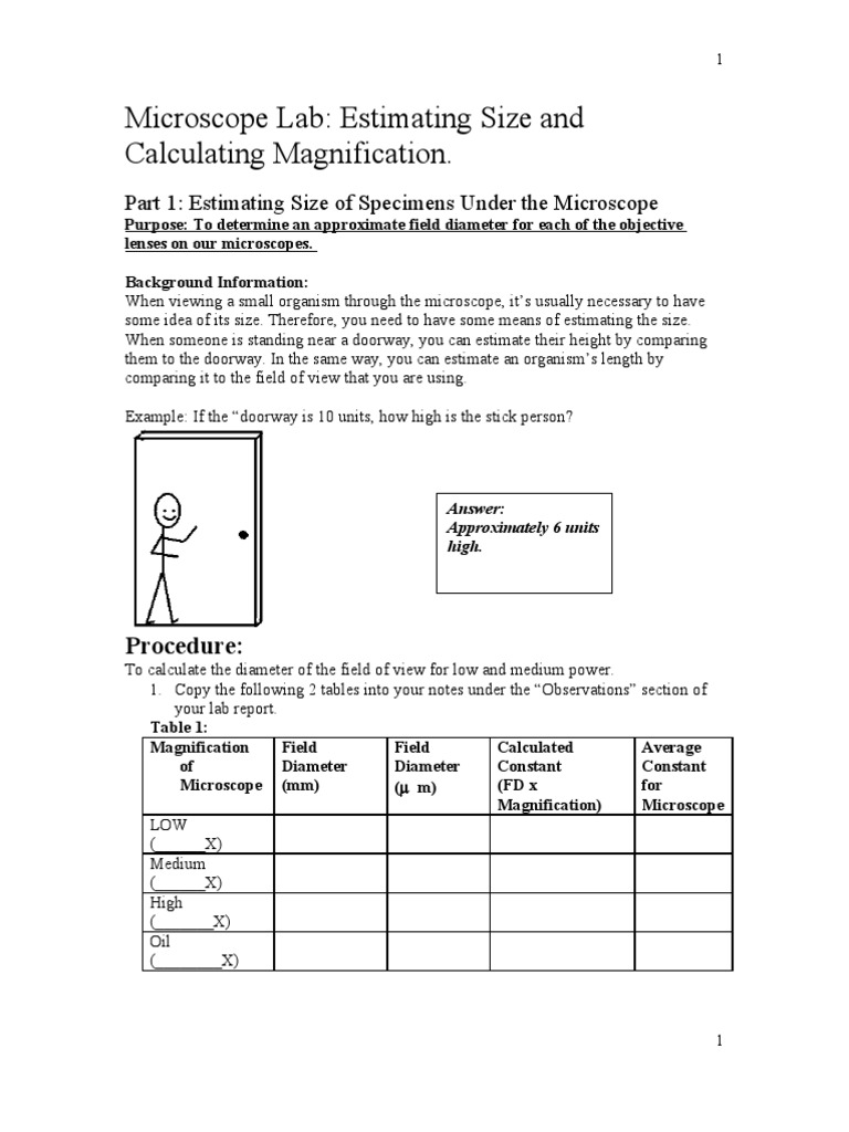 Microscope Lab - Estimating Field Diameter | PDF | Lens (Optics) | Optics