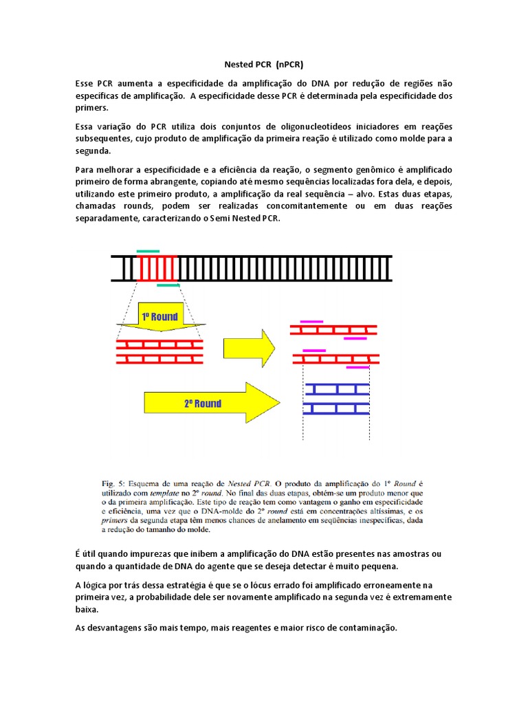 Nested PCR | PDF