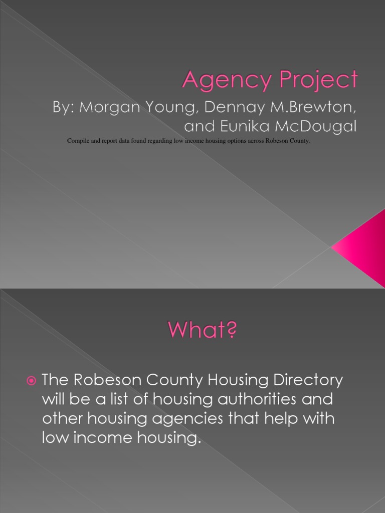 Agency Project Presentation | PDF